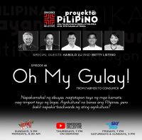 Manuel L. Quezon III – Page 3 – The Explainer